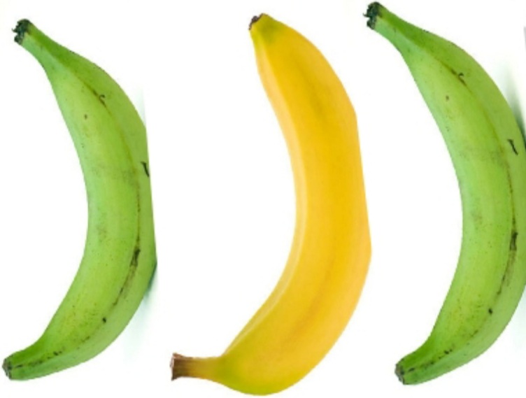 Bananes mûres ou moins mûres : lesquelles choisir