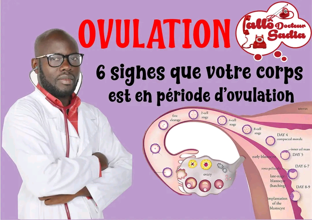 Sante: Voici 6 signes que votre corps est en période d’ovulation ...
